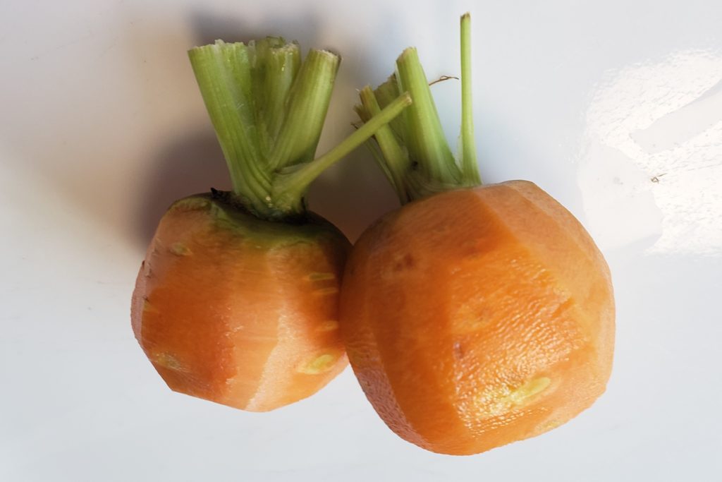 Shin Kuroda Carrots – Crazy for Gardening