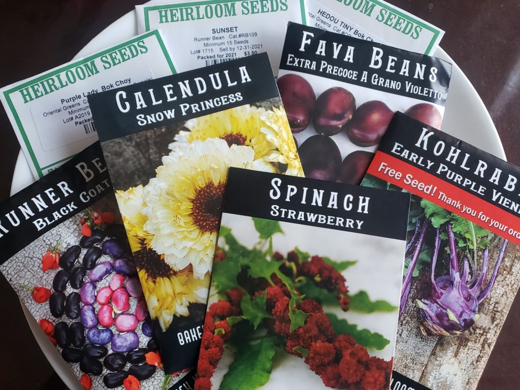 Seed Picks from Baker Creek – Crazy for Gardening