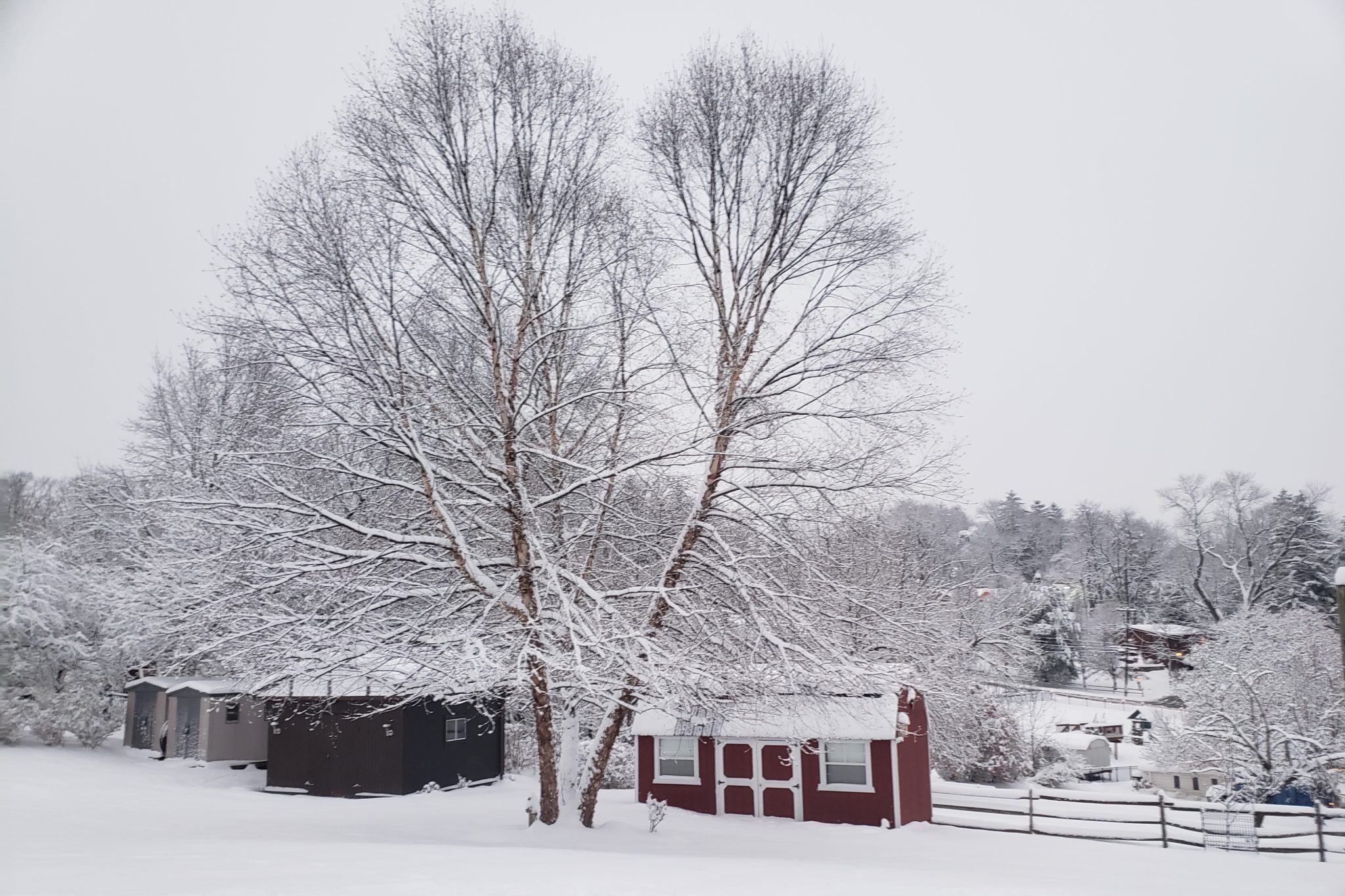 Snow Mulch – Crazy for Gardening