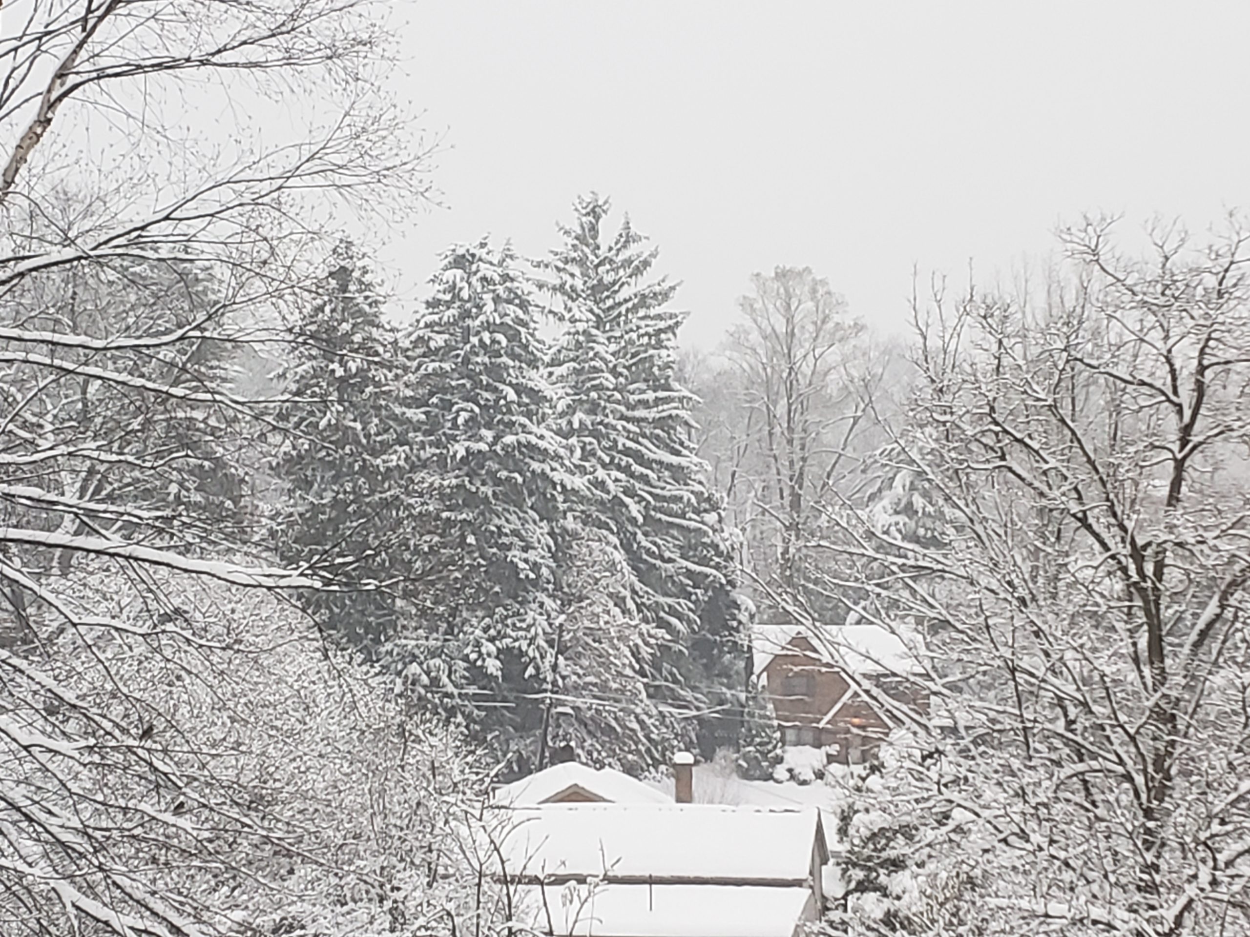 Snow Mulch – Crazy for Gardening