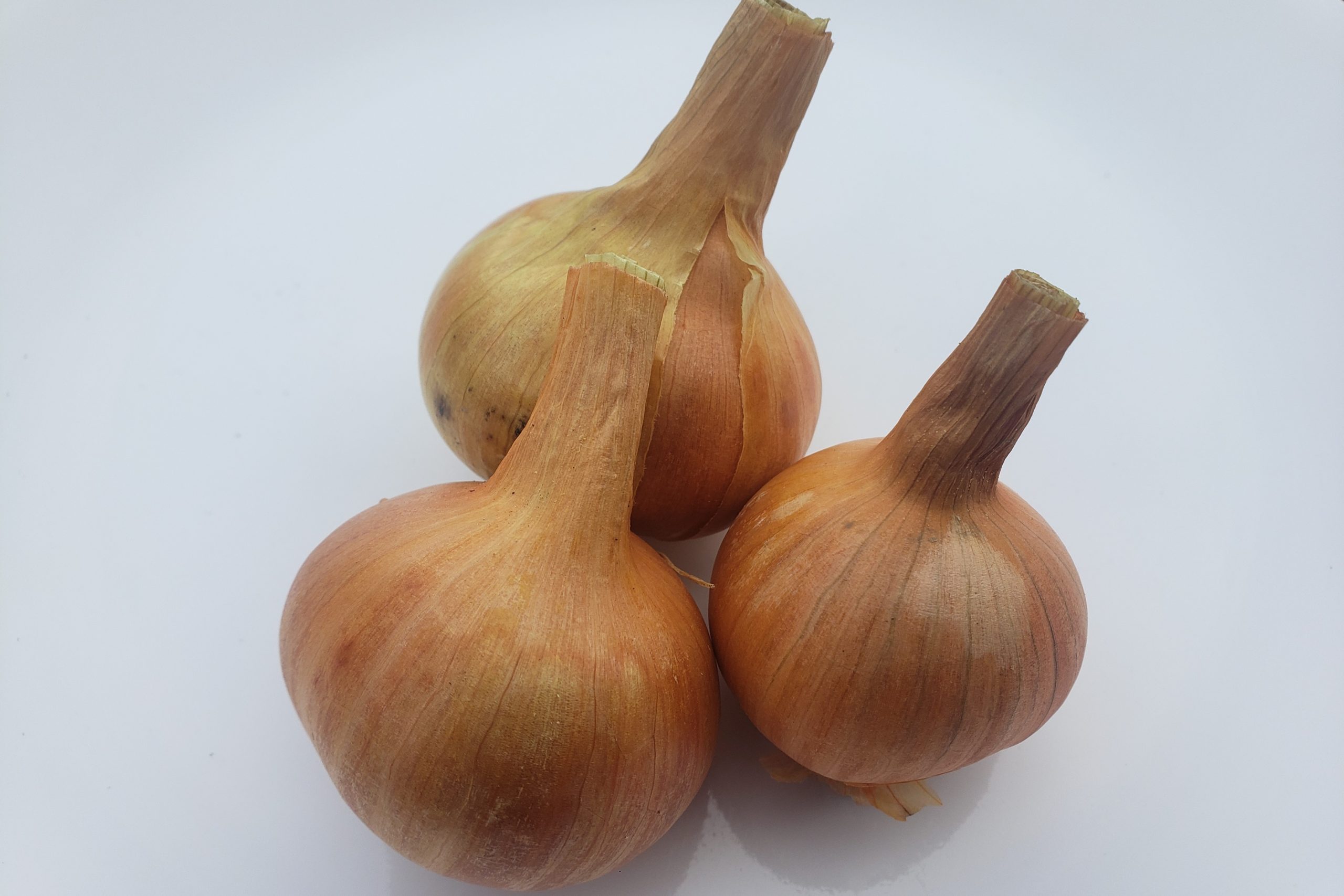 Dutch Yellow Shallots – Crazy for Gardening