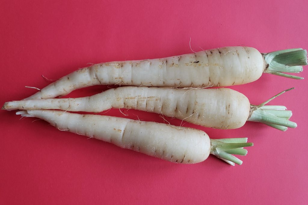 Shin Kuroda Carrots – Crazy for Gardening