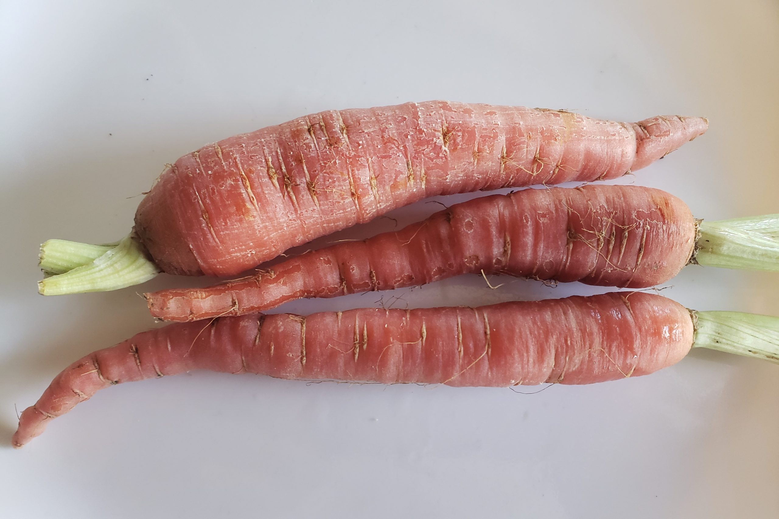 Atomic Red Carrot Benefits