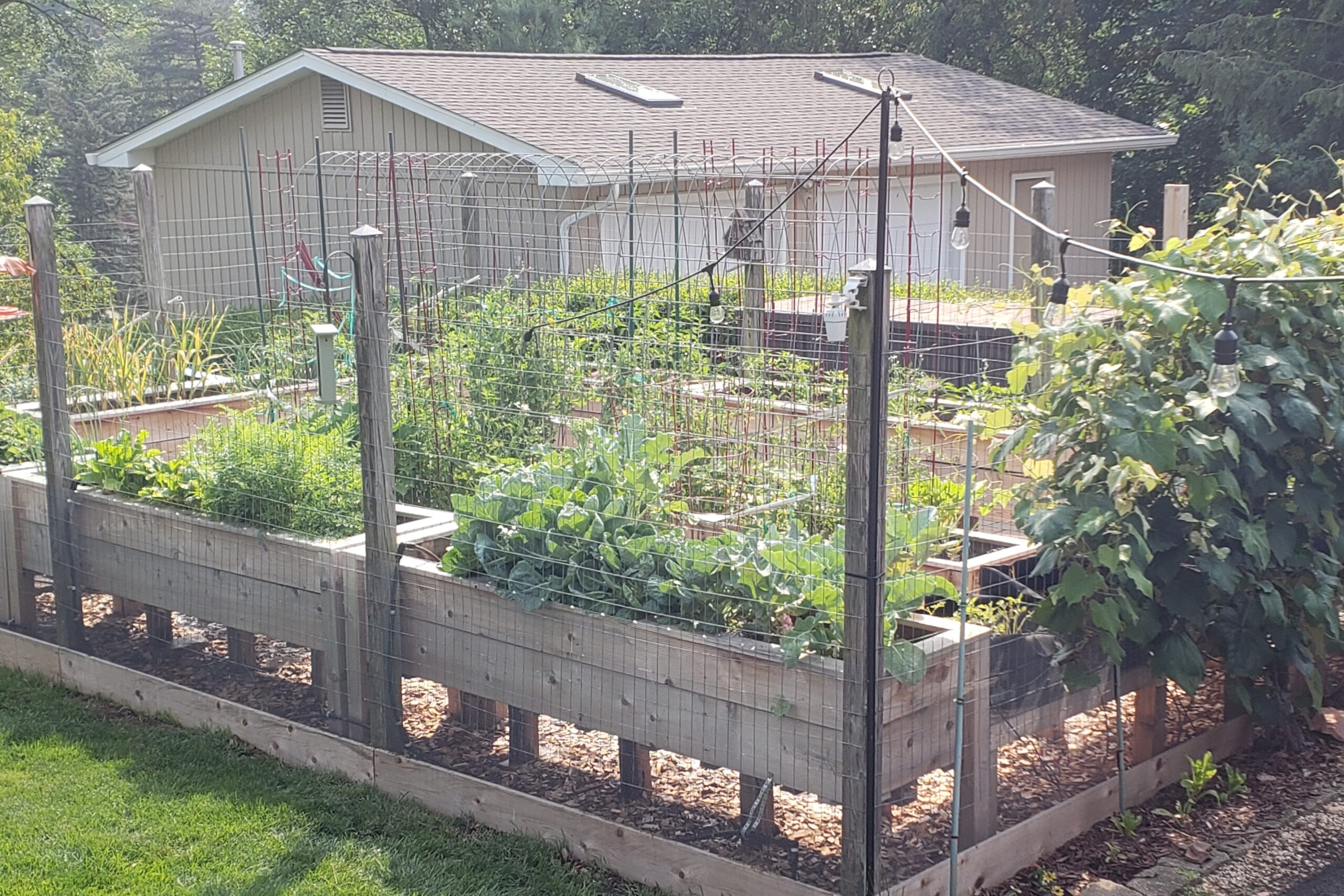 Day Length – Crazy for Gardening