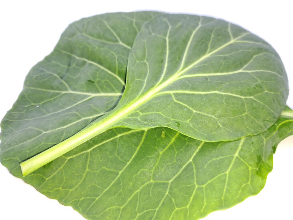 Harvest and Store Collards – Crazy for Gardening
