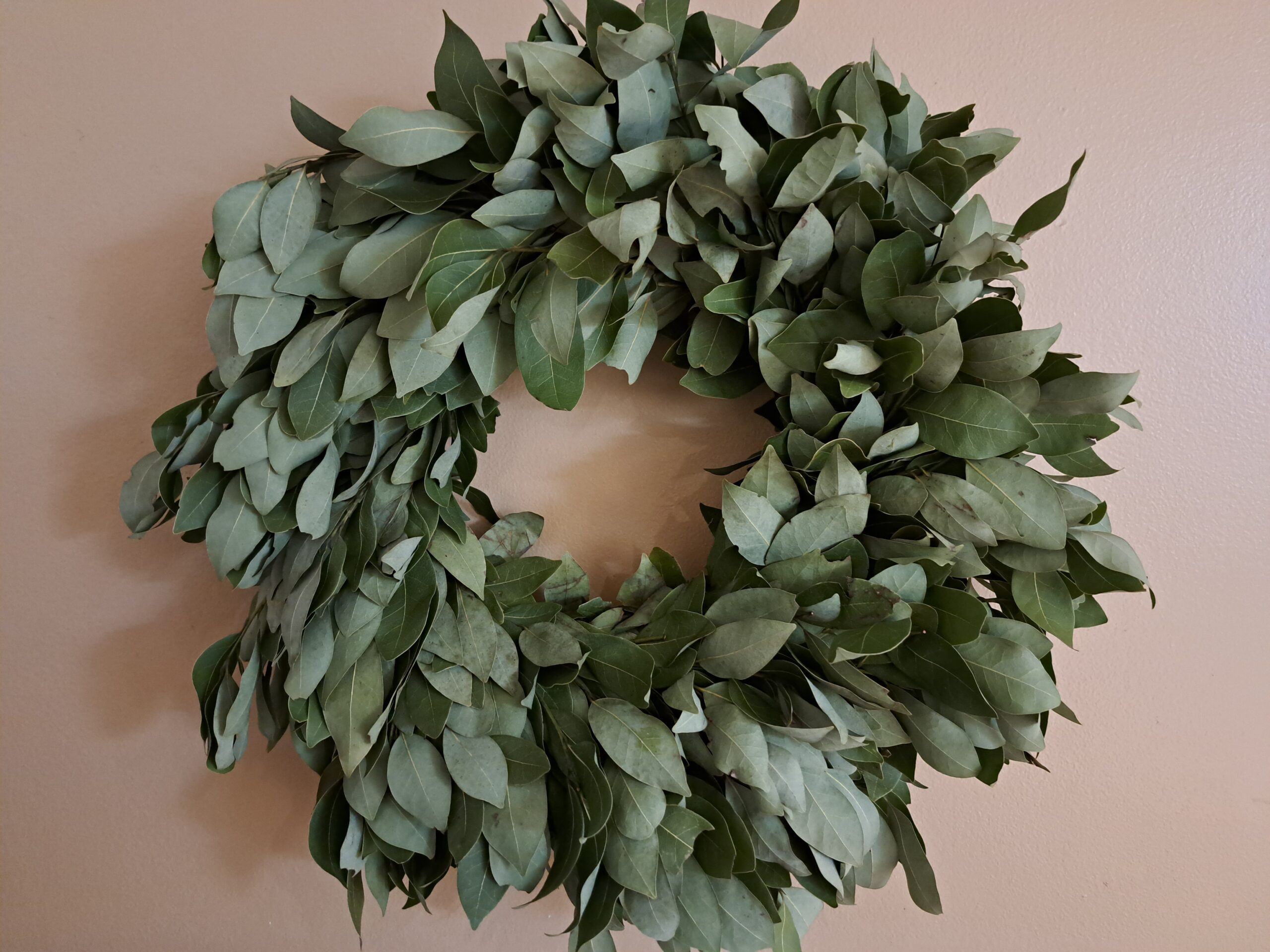 Bay Leaf Wreath – Crazy for Gardening
